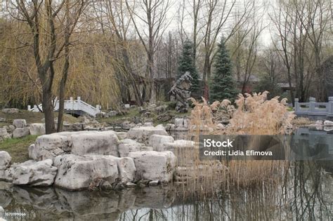 중국 전통 돌 정원 동양 숲의 녹색 식물과 바위 아시아 스타일의 조경을위한 장식 관목입니다 잔디와 자갈이 있는 선 정원 대리석 암석 돌 0명에 대한 스톡 사진 및 기타