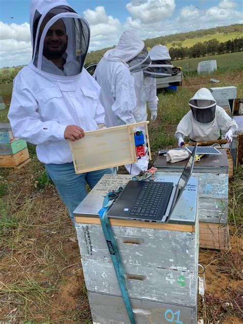 Smart Beehive Monitoring For Remote Regions Cooperative Research Centre For Honey Bee Products