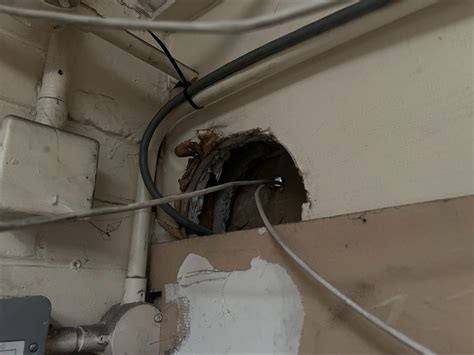 James Collett On Linkedin Dose