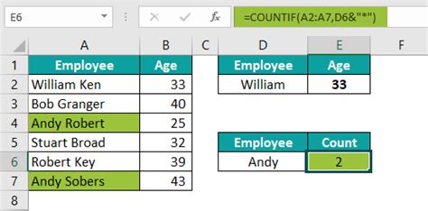 wildcard in excel types formulas how to use character