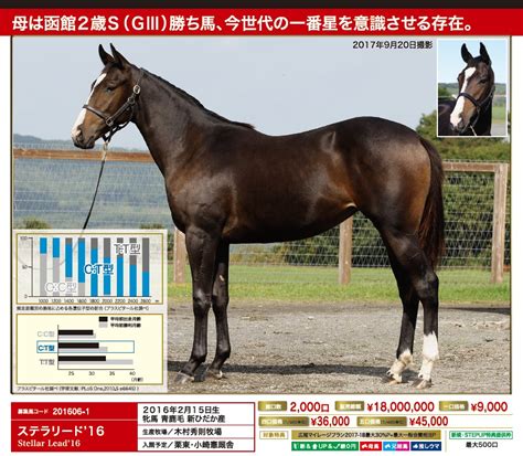 2018年2歳馬募集のご案内｜広尾サラブレッド倶楽部