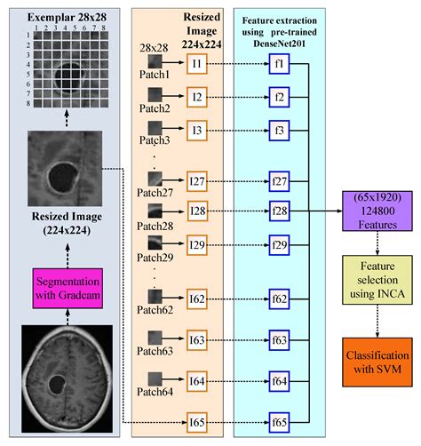 diagnostics free full text attention deep feature extraction from brain mris in explainable