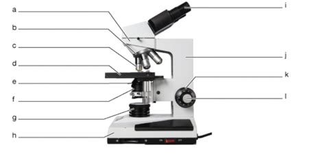 Labelling The Microscope Diagram Quizlet