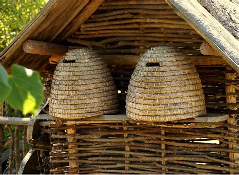 Why Do Bees Stay In Their Hives During Winter Punwow