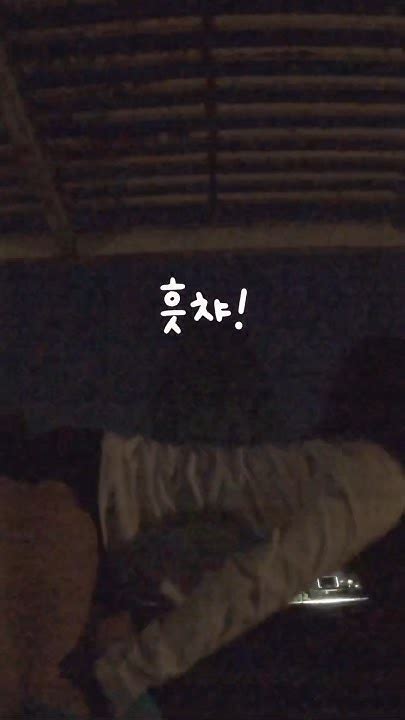 오밤중에 혼자 달리기하러 갔다가 만난 그것 연탱이의자유일기 연탱이 연탱몬 러닝 달리기 서서울호수공원 야생너구리 Youtube