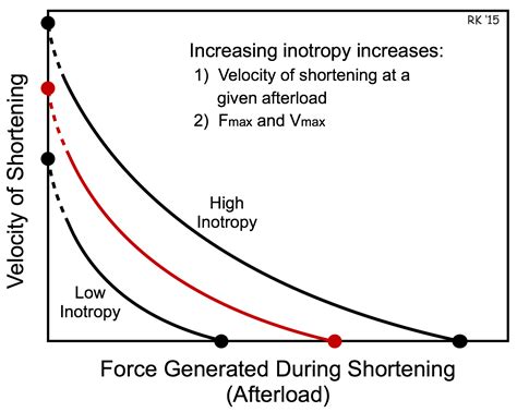 Force Velocity Relationship Cardiac Muscle Force Relationship