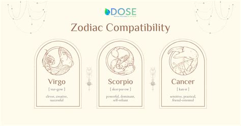 Zodiac Signs Compatibility A Glimpse Into Your Love And Friendship Dynamics Dose
