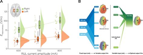 Hippocampal E Field Variability And Implications For Ect Dosing A Right Download Scientific