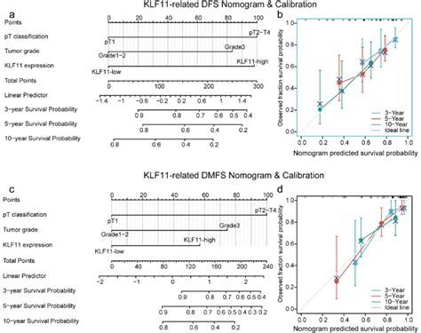 Klf11 Related Prognostic Model For Dfs And Dmfs Showed High Accuracy In Download Scientific