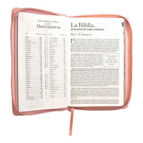 Biblia Reina Valera 1960 Tamaño Manual Letra Grande 12 Puntos