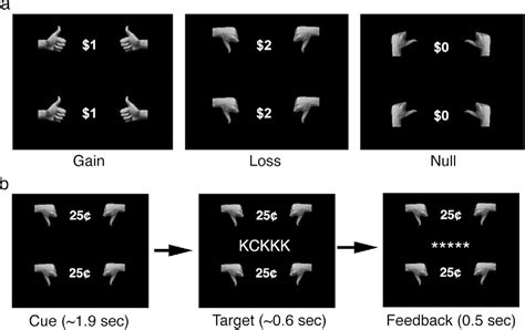 Figure 1 From Medial Frontal Cortex Activity And Loss Related Responses To Errors Semantic Scholar