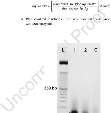 Hybridization Efficiency Of Oligonucleotides Was Analyzed By 2 Sb Download Scientific Diagram