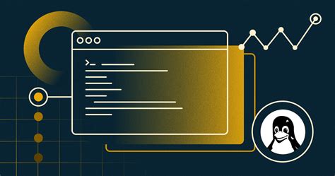 Основные команды Linux терминала с примерами использования