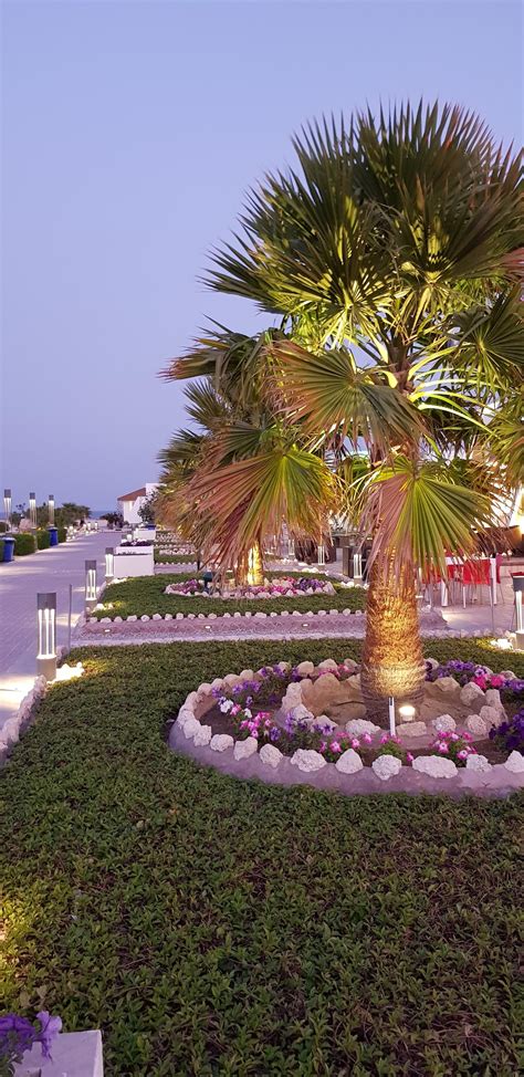 ساحل مارینا کیش کیش نقشه نشان