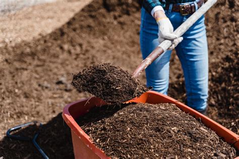 The Top 10 Vermicomposting Bins To Start Your Own Worm Farm Sustainable Warriors