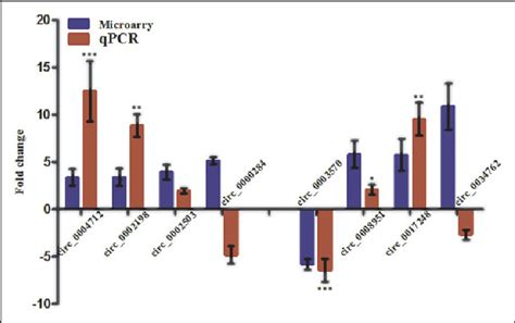 Quantitative Real Time Polymerase Chain Reaction Qrtpcr Validation Of Download Scientific