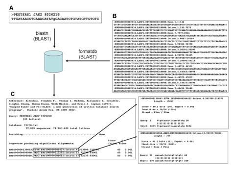 Outline Of The Process Of Mapping Translocation Breakpoints Each Download Scientific Diagram