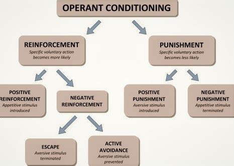 Operant Conditioning Theory