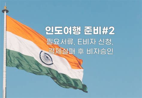 인도여행 준비2 필요서류 E비자 신청 결제실패 후 비자승인 네이버 블로그