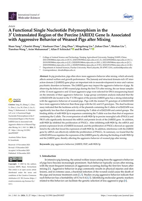 Pdf A Functional Single Nucleotide Polymorphism In The 3