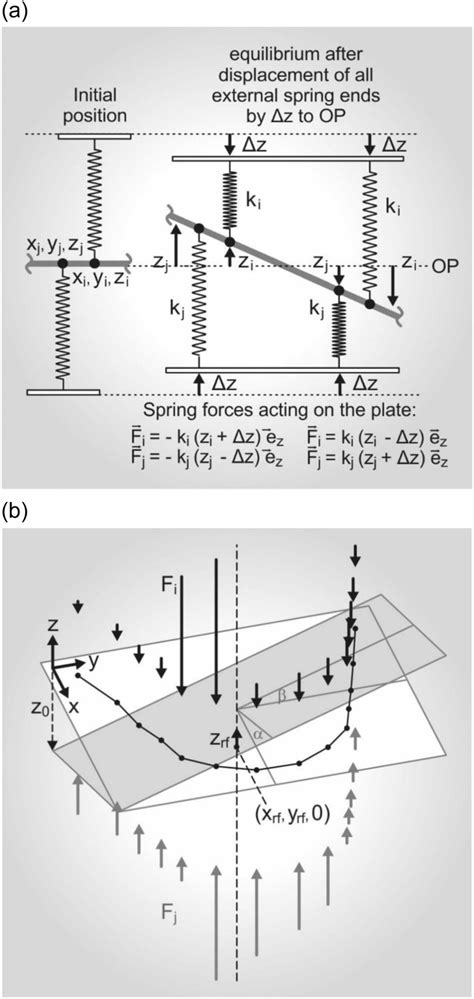A A Schematic Diagram Of The Correlation Between Spring Forces Acting Download Scientific