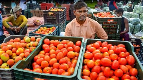 Tomato Prices Soar To Rs 100 Per Kg In Delhi As Rains Hit Supplies
