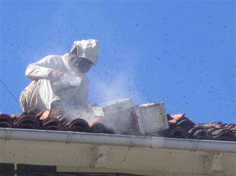 Cogiendome A La Hermana De Mi Esposa Playboy Cogiendome A Mi Sobrina Cogiendome Una Chava De