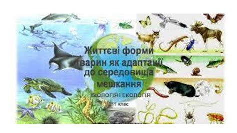 Презентація Життєві форми рослин і тварин як адаптація до середовища існування