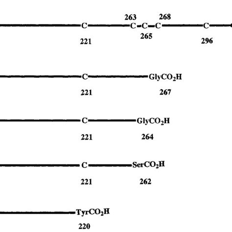 Scheme 2 Molecular Weights Of N Terminal Fragments Resulting From Download Scientific Diagram