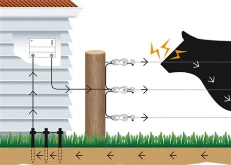 Cercas Eléctricas ¿cómo Funciona Una Cerca Eléctrica Elife
