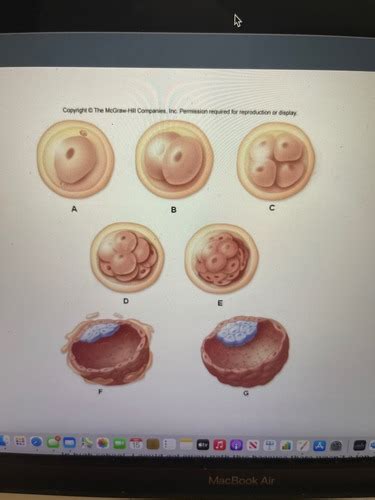 Bio 255 Flashcards Quizlet