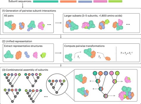 Combfold Advancing Structure Prediction Of Large Protein Assemblies With Combinatorial