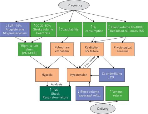 Pulmonary Htn In Pregnancy The Dark Neb Tuohy Time