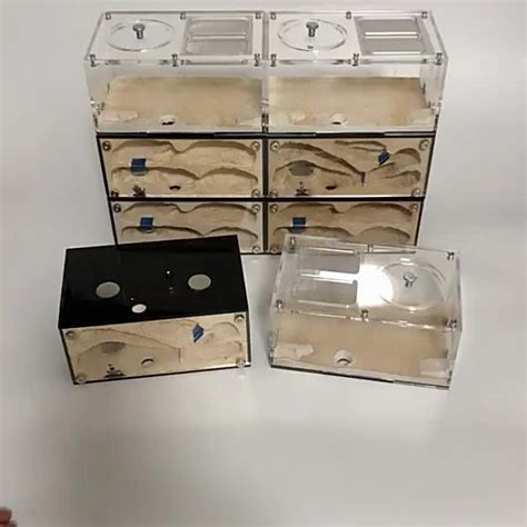 Acrylic Ant Farm Unlimited Expansion Ant Nest With Inligent Temperature Control Concrete Ant