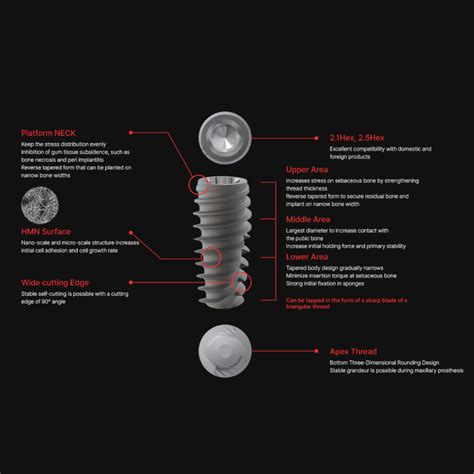 Fixture Hsn Ⅶ Koreashop24