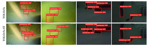 Comparison Of Detection Results Of Self Collected Datasets Download Scientific Diagram