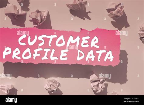 Conceptual Display Customer Profile Data Business Idea Report About