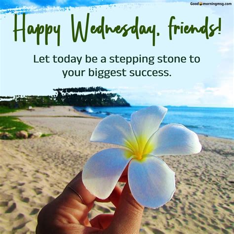 50 Good Morning Wednesday Wishes To Start Your Day With Positivity