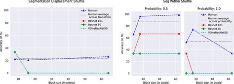 Performance Of Humans And Networks On Same Images With Segmentation