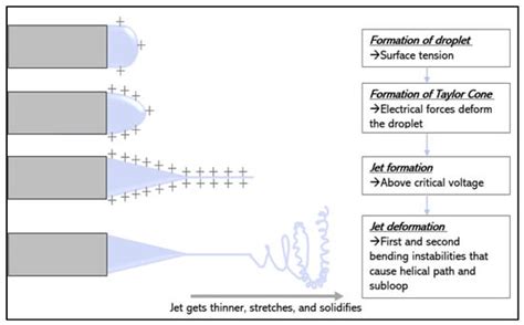 Macromol Free Full Text Recent Advances In Electrospun Fibers For Biological Applications