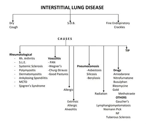 Nte®️n🅰️l Ⓜ️edℹ©️ℹne On Twitter Ild 🫁🫁
