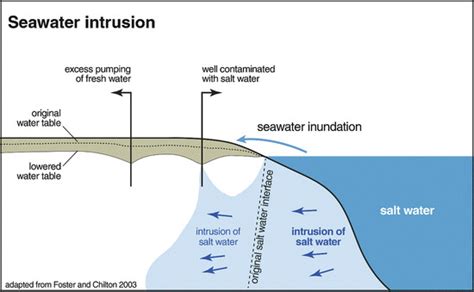 Process Leading To Salinization Of Fresh Groundwater In Coastal Download Scientific Diagram