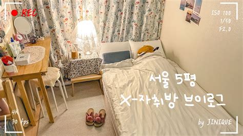 좁지만 행복했던 나의 서울 5평 X 자취방 브이로그 자취방 꾸미면서 느낀점 룸투어 자취템 소개 반려식물 키우기