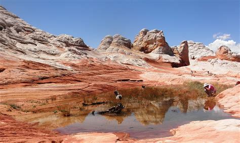 Vermilion Cliffs National Monument Grand Canyon Trust National