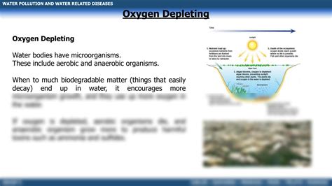 Solution Water Pollution And Water Related Diseases Studypool