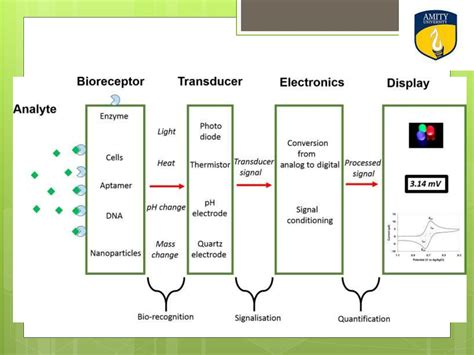 History Of The Biosensors And Applications Pptx