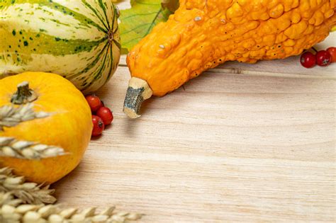 단풍이 가을입니다 밀 곡물 귀 오렌지 호박 가을 말린 잎 붉은 열매와 도토리 나무 배경에 밤과 자연 수확 추수 감사절 이나 할로윈의 개념 10월에 대한 스톡 사진 및 기타