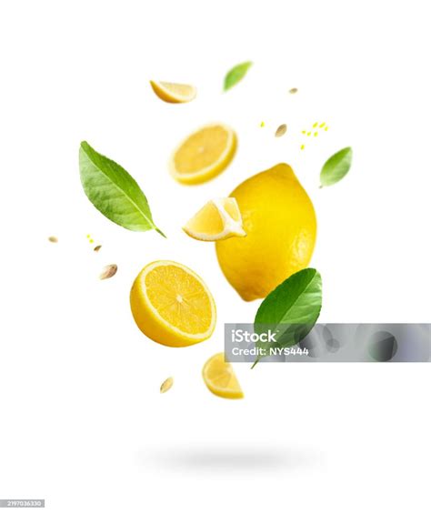육즙이 많은 비행 노란색 레몬 녹색 잎은 흰색 배경에 고립되어 있습니다 창의적인 음식 디자인 레몬 과일 조각 구성 여름 다과 물건 단면도에 대한 스톡 사진 및 기타 이미지