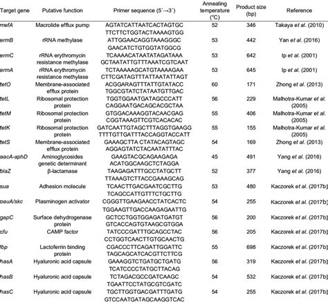 Target Genes Primer Sequences And Annealing Temperature Download