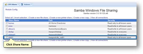 Creating A Cifs Share